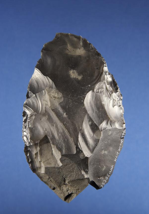 Collections object page - Museums Collections - Norfolk Museums Service
